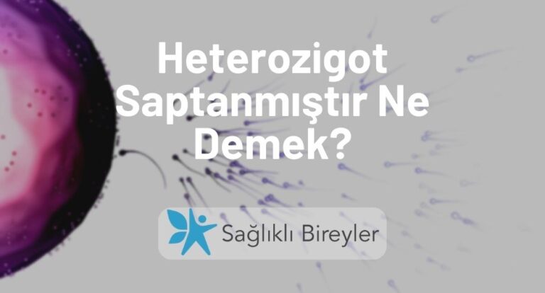 Heterozigot Saptanmıştır Ne Demek? MTHFR Taşıyıcı Nedir?